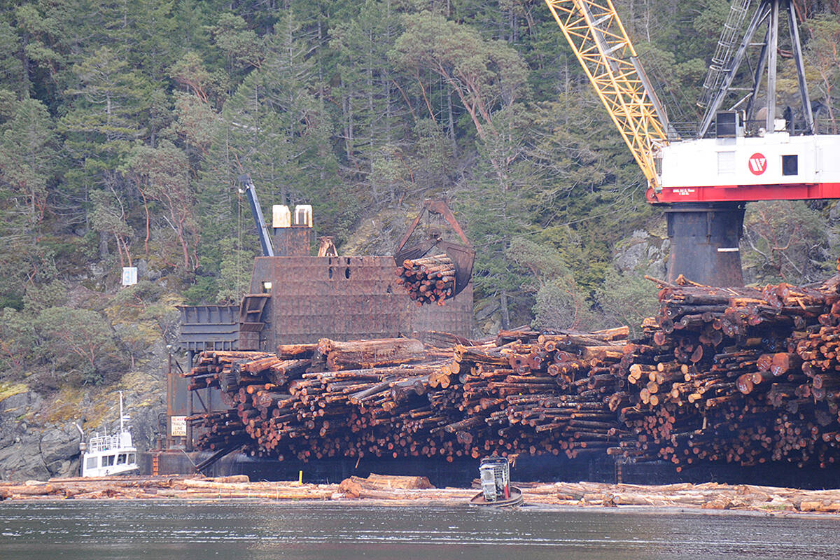 Changes needed to boost timber harvest in B.C., forest critic says ...
